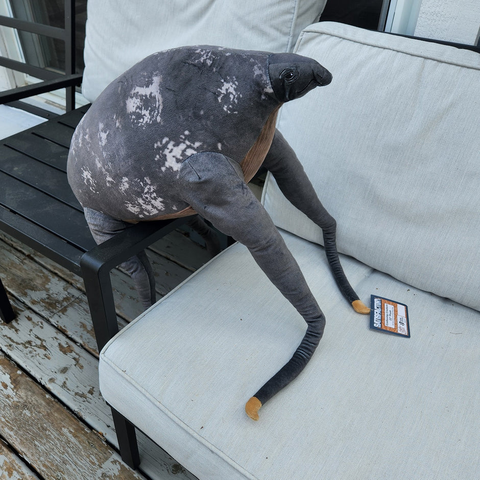 Products – Lizard Doggo