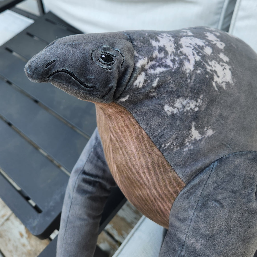 Products – Lizard Doggo